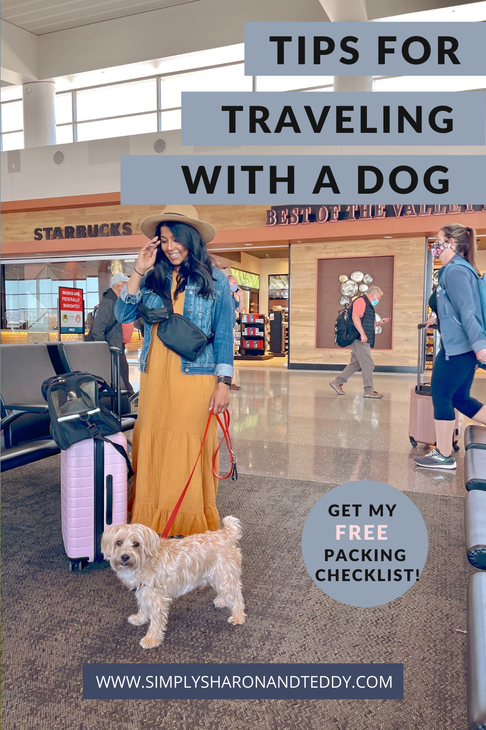 The Ultimate Guide: Tips For Flying With Your Dog In Cabin - Simply ...
