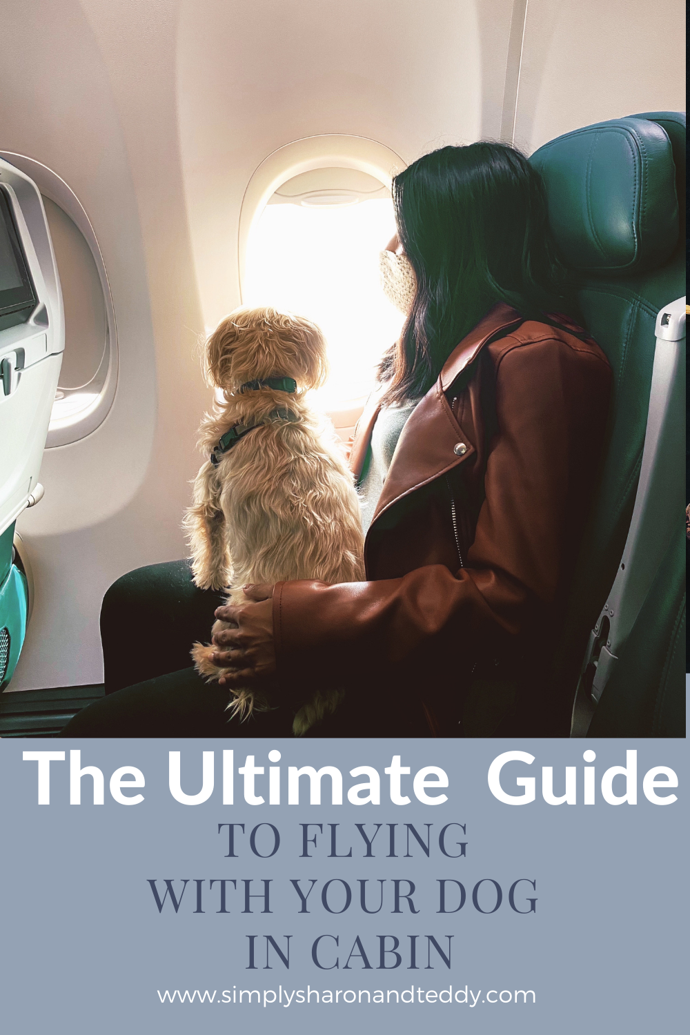 The Ultimate Guide: Tips For Flying With Your Dog In Cabin - Simply ...