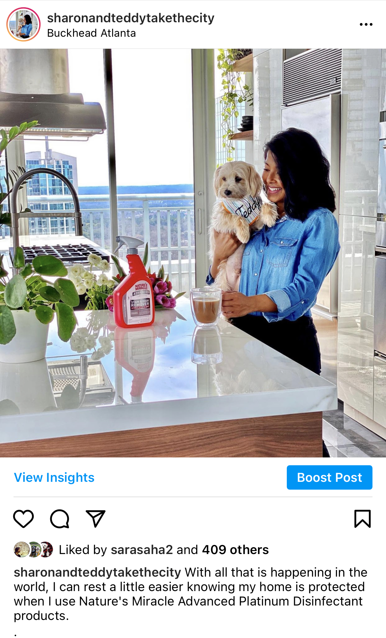 Collaborating With Brands On Instagram As A Dog Lifestyle Influencer ...