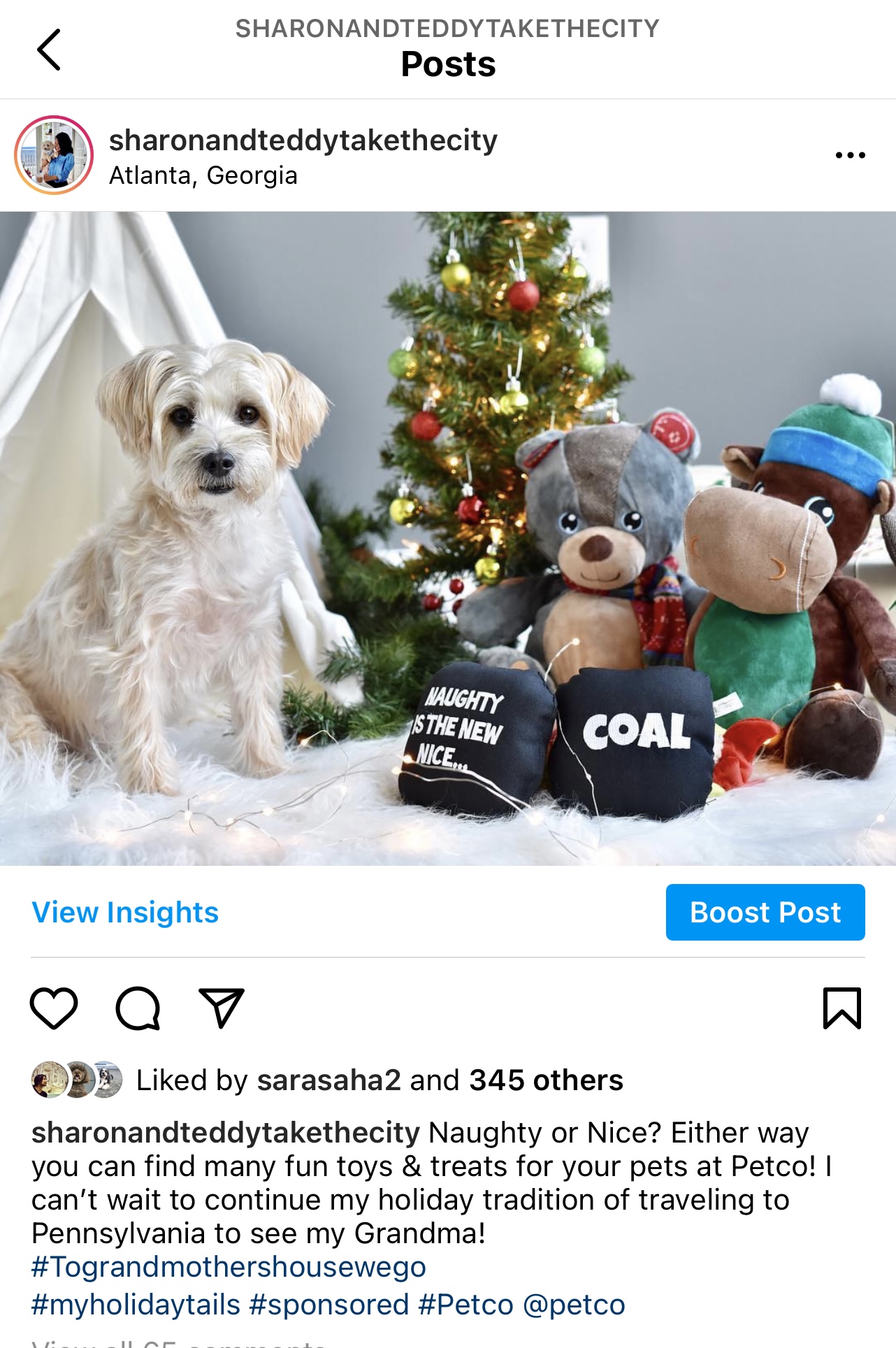 Collaborating With Brands On Instagram As A Dog Lifestyle Influencer ...