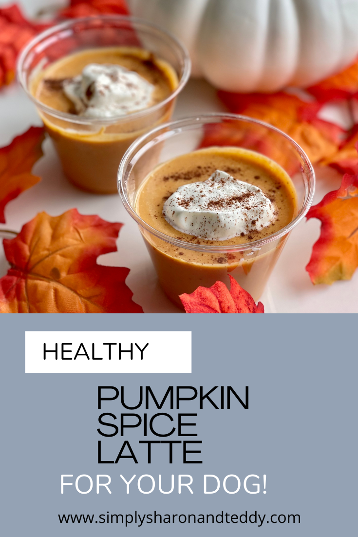 Healthy Pumpkin Spice Latte Recipe For Your Dog That's Easy To Make ...