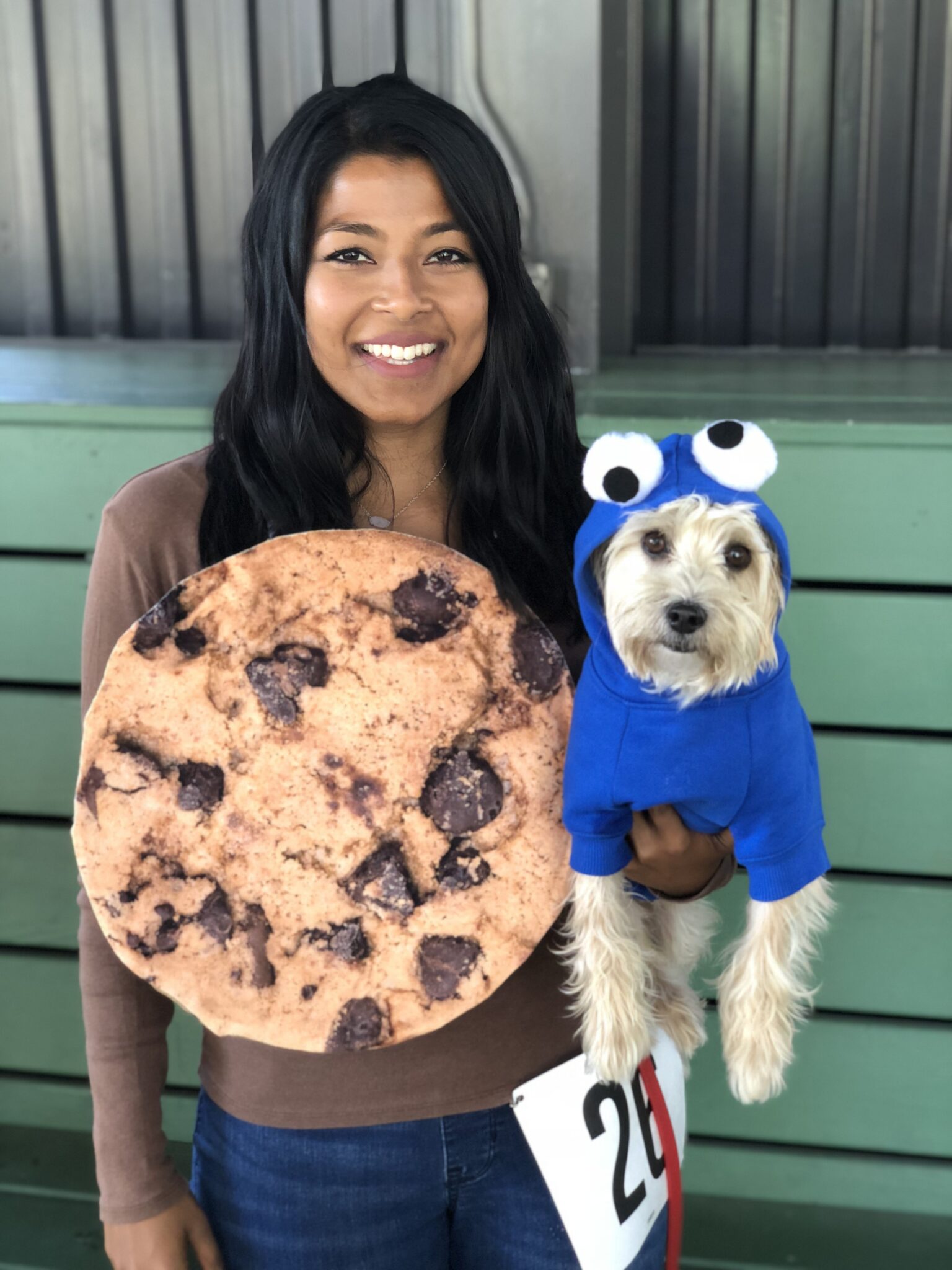 Family Halloween Dog Costume Ideas For Pets And Their Owners - Simply ...