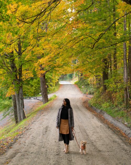 Best Dog-Friendly Places To Visit In Vermont In The Fall - Simply ...