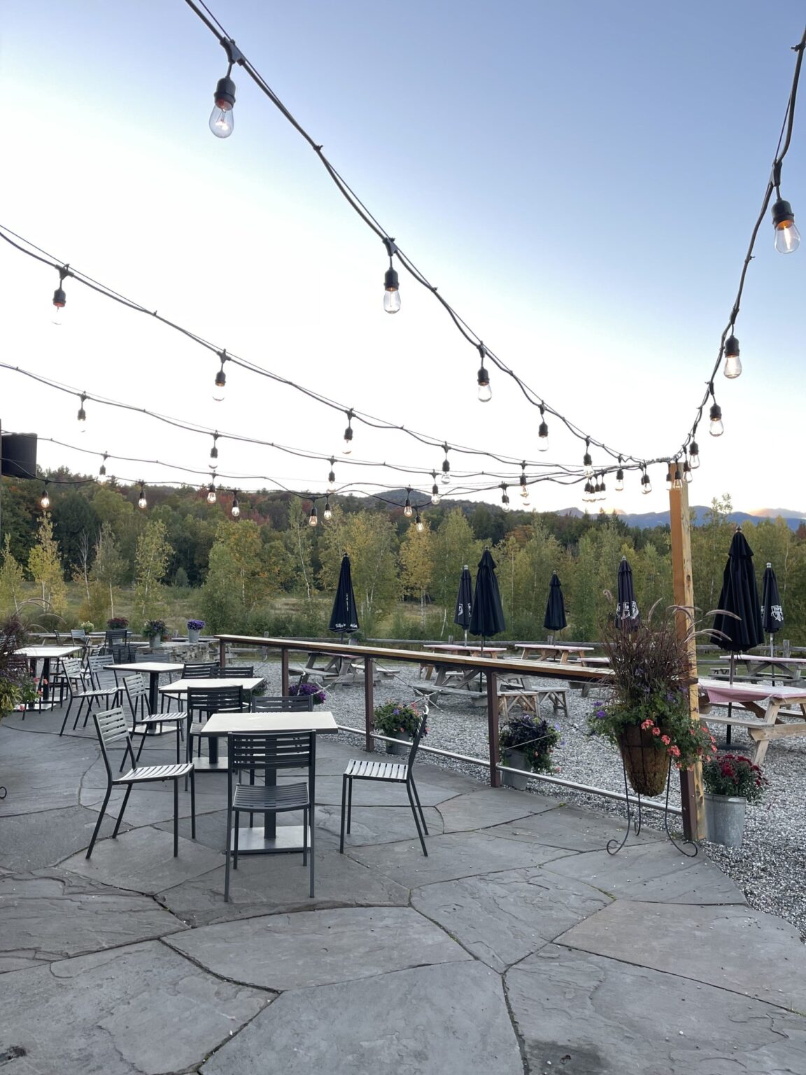Best Dog-Friendly Places To Visit In Vermont In The Fall - Simply ...