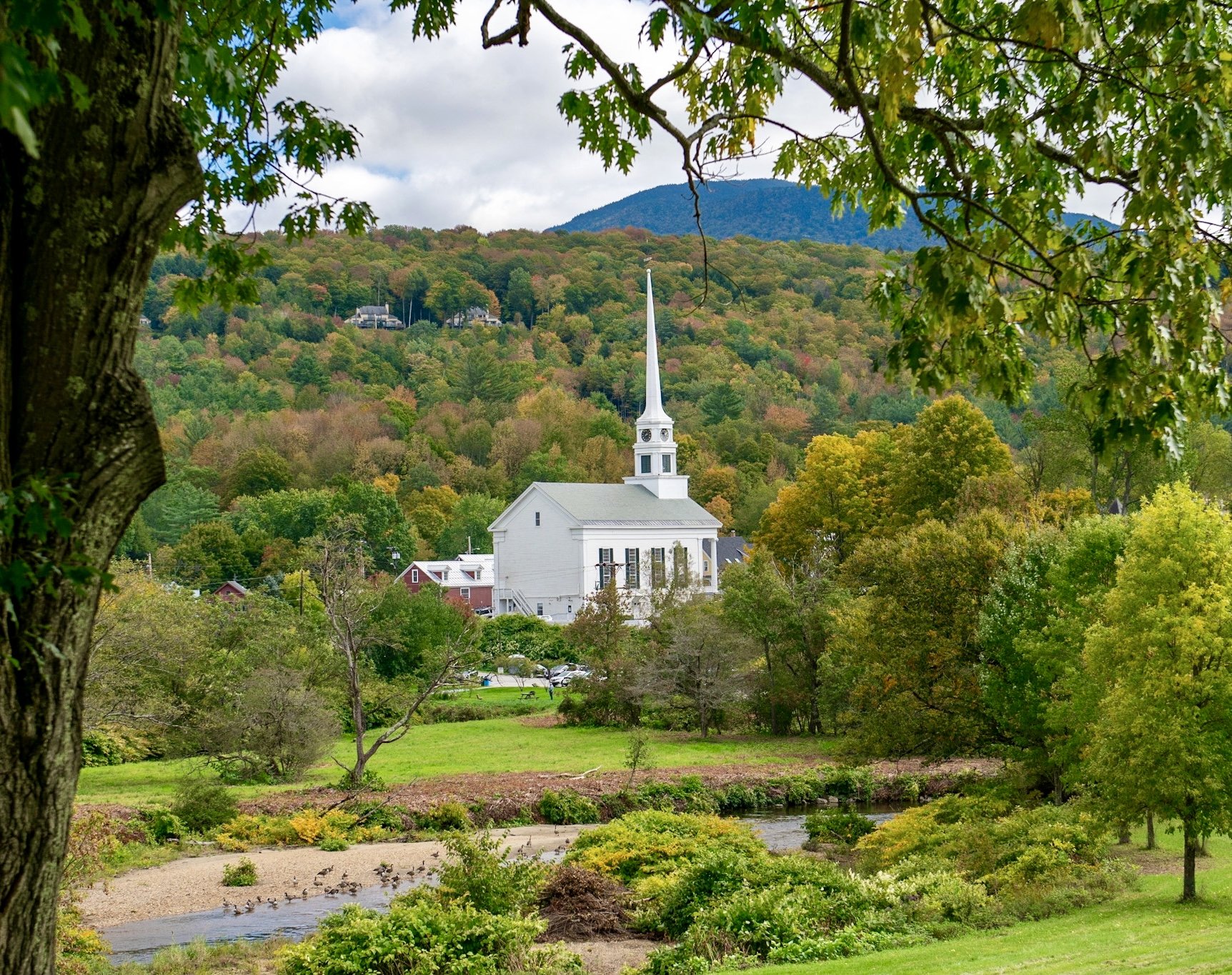 Best Dog-Friendly Places To Visit In Vermont In The Fall - Simply ...